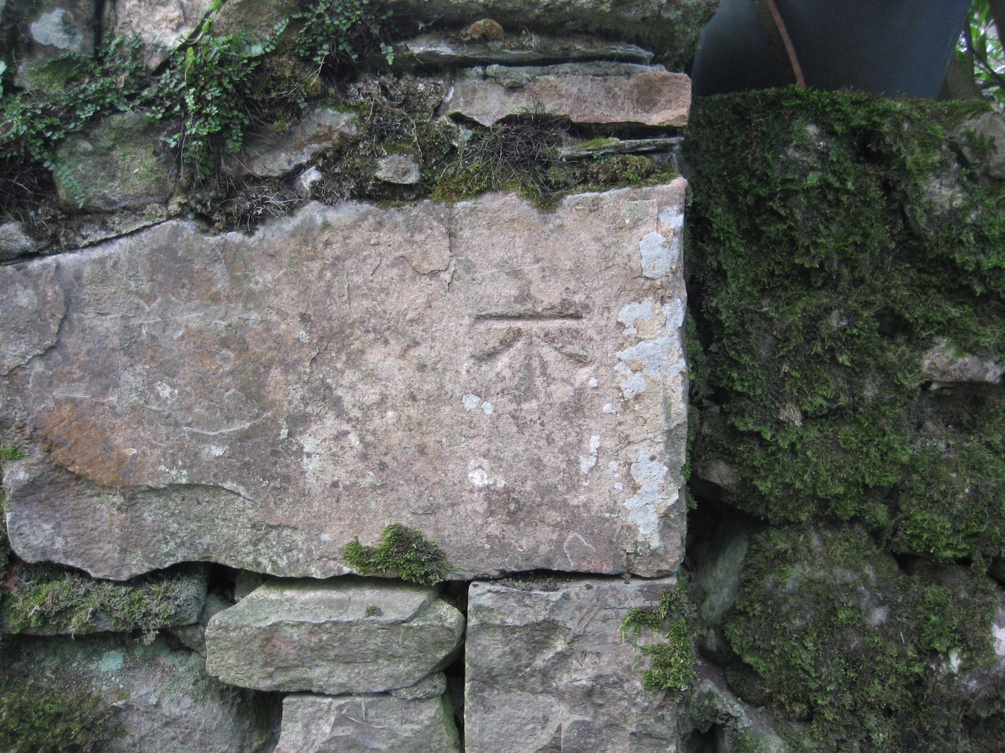 Cut Mark: Wasdale Hall Lodge - Bench Mark Database