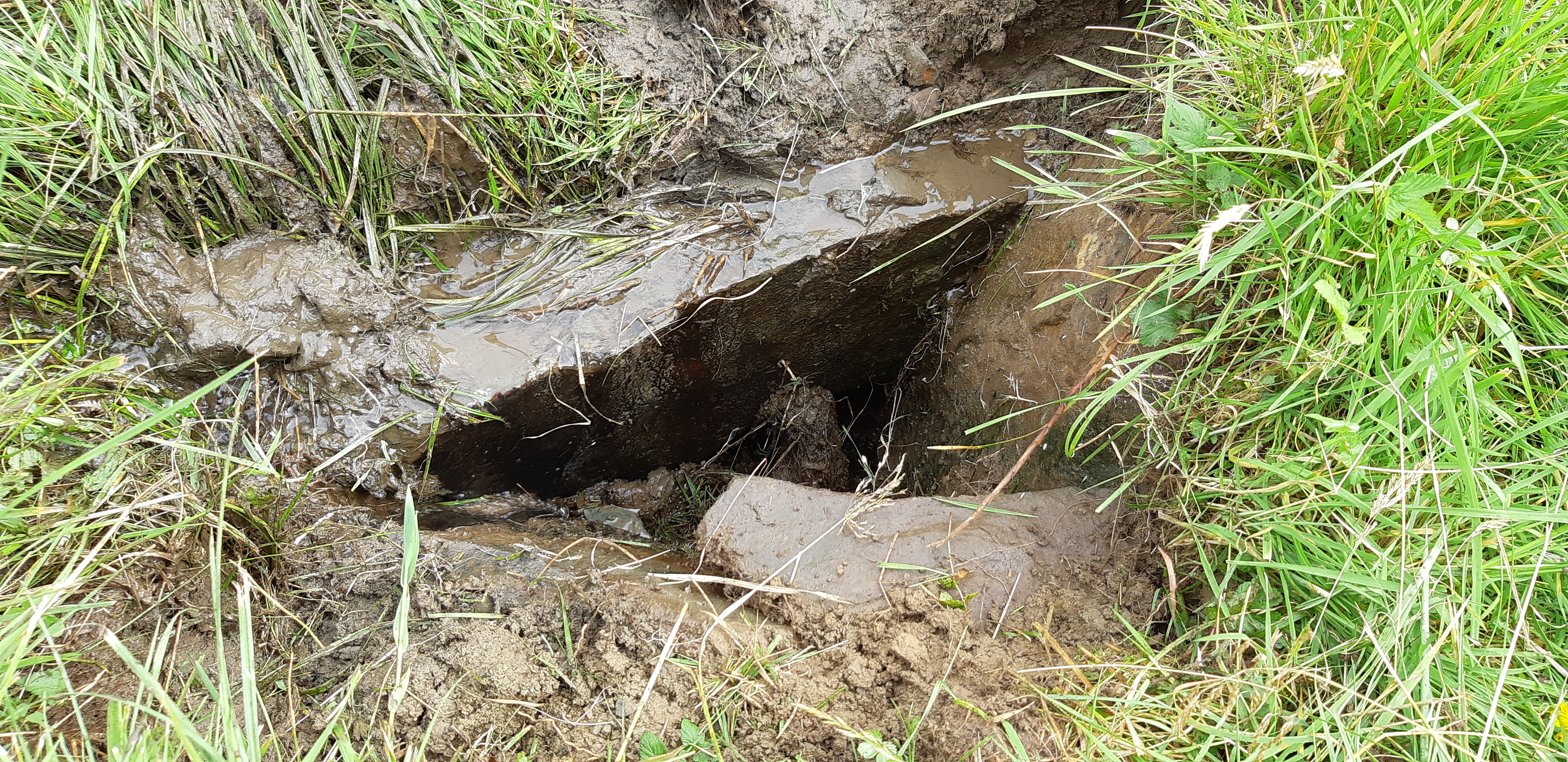 Pivot: Carewoodrig, Culvert - Bench Mark Database